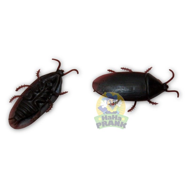 12 Fake Cockroaches - Realistic Rubber Cockroach Prank Gag Joke | eBay
