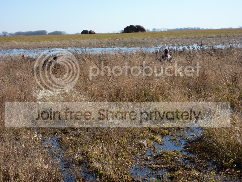 Pictures | Duck Hunting Forum